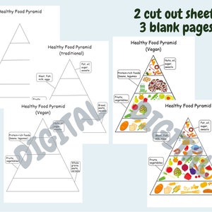 Food Pyramid for Kids, Food Busy Book for Kindergarten and Toddler Kids ...