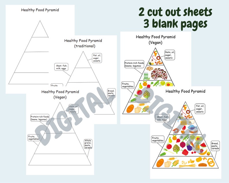 Food Pyramid for Kids Food Busy Book for Kindergarten and - Etsy