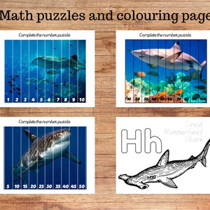 Shark Unit Study, Shark Anatomy and Shark Species Three-part Cards ...