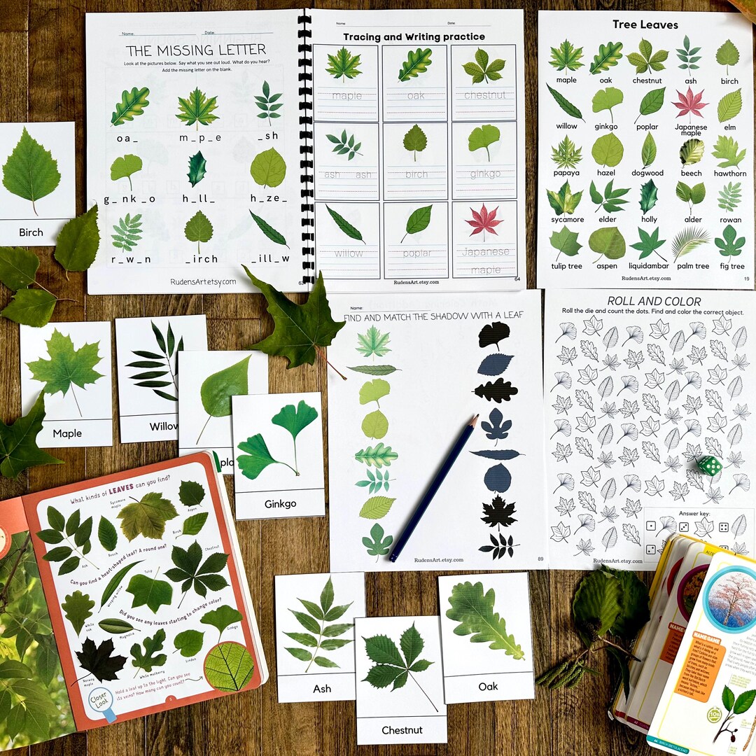 Leaves Unit Study, Leaf Anatomy, Three-part Cards, Montessori Materials ...