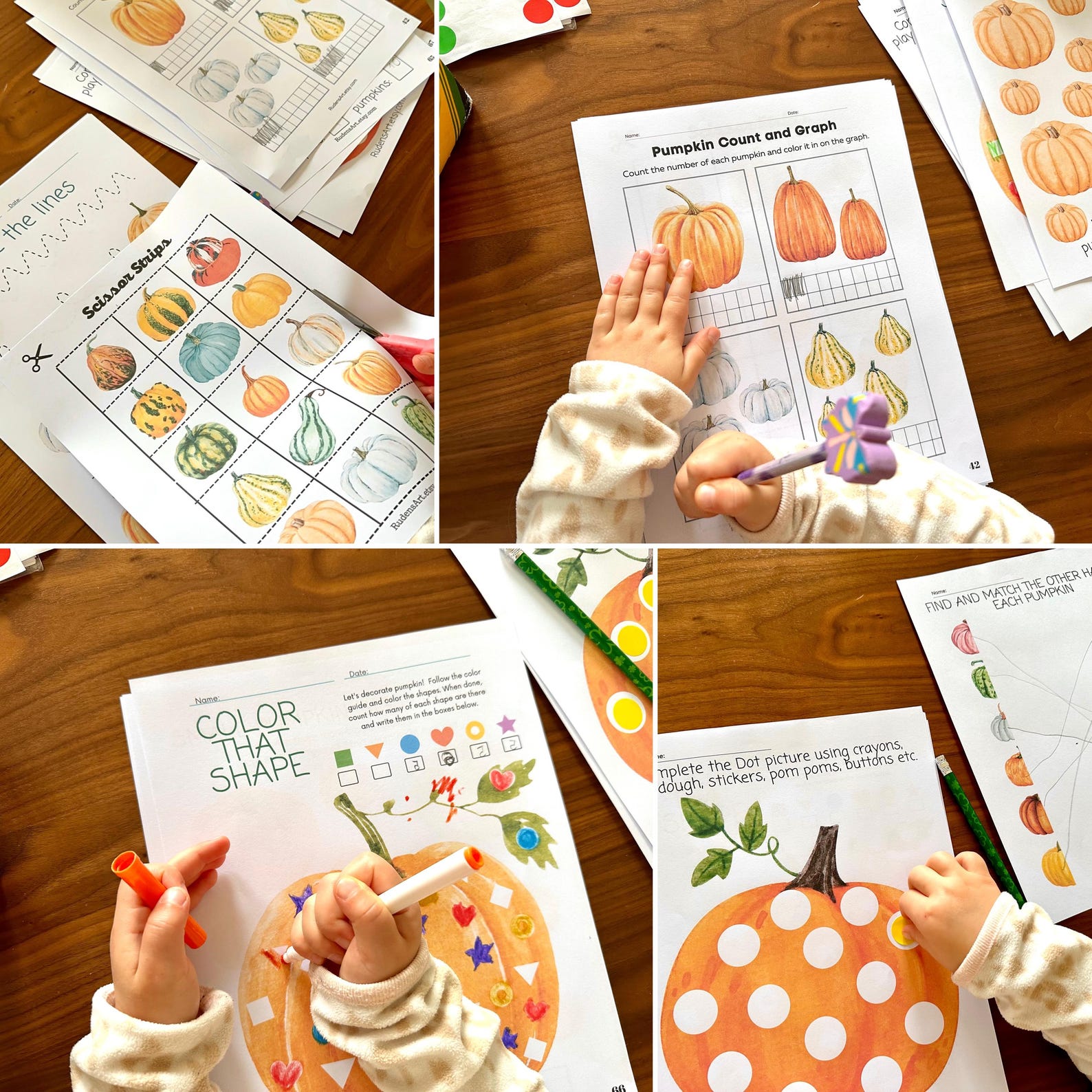 Pumpkin Unit Study, Pumpkin Anatomy and Life Cycle, Pumpkin Varieties ...