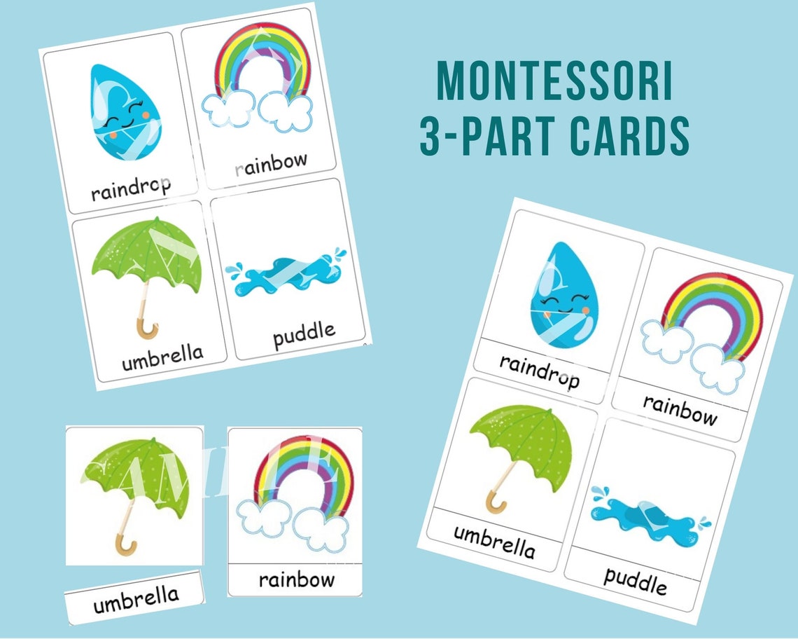 Weather Flashcards Montessori Three-part Cards Vocabulary - Etsy