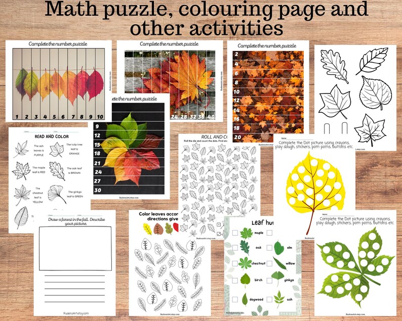 Leaves Unit Study, Leaf Anatomy, Three-part Cards, Montessori Materials ...