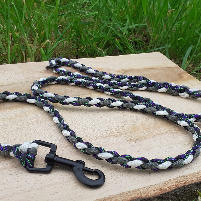Dog Lead - Etsy