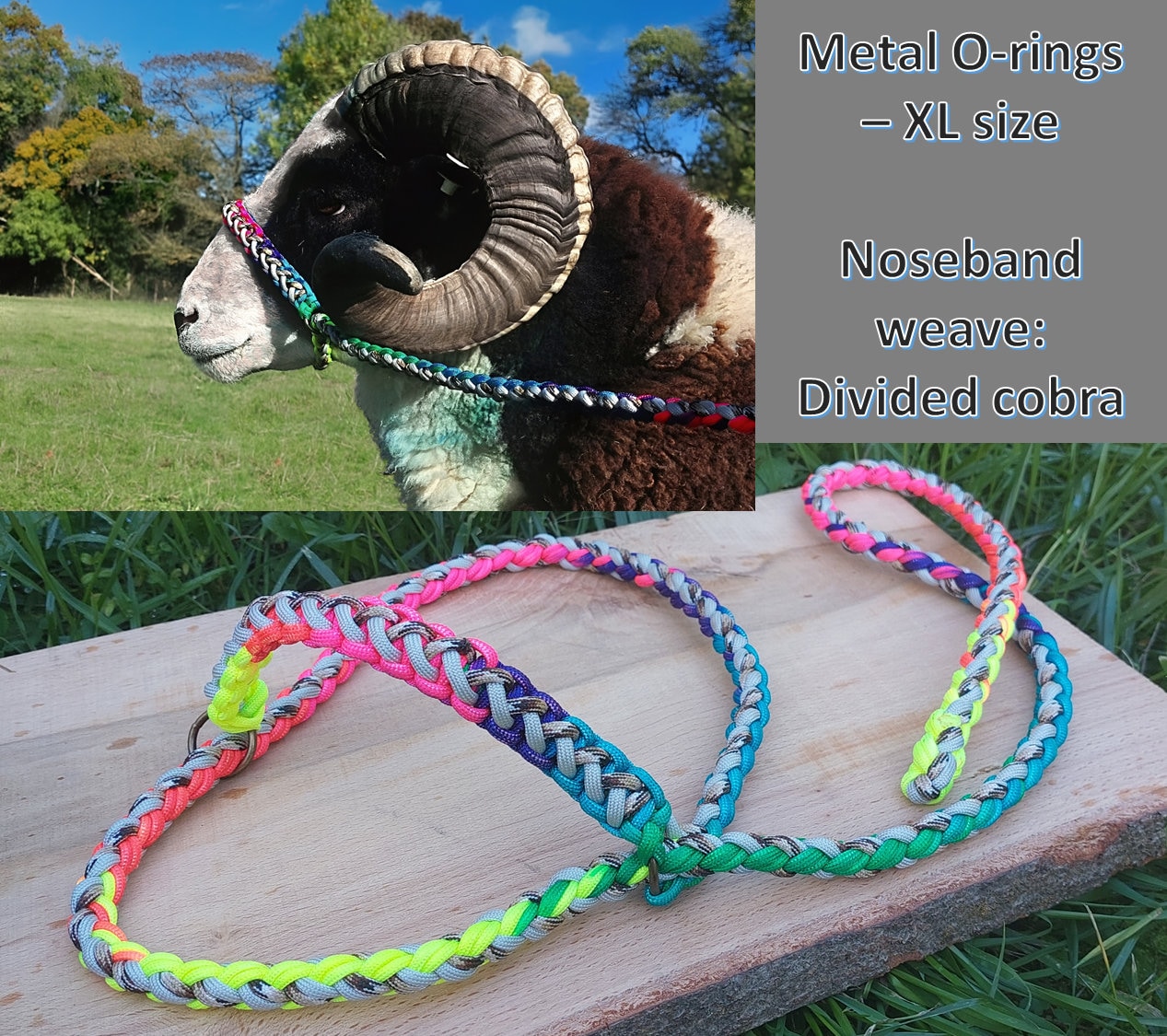 Paracord Sheep Slip Halter - Etsy