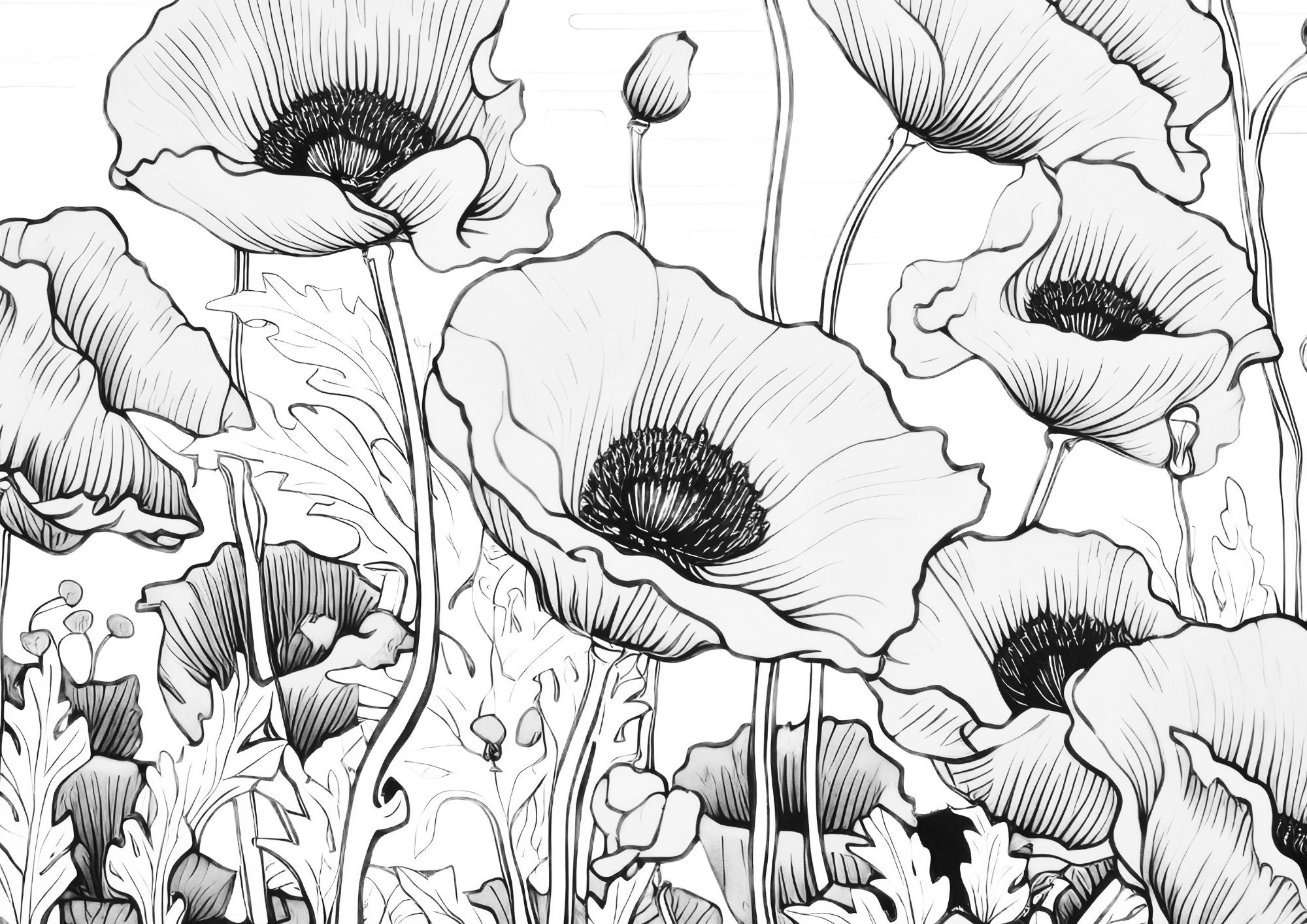 The Fill Me With Color Floral Coloring Book - Etsy