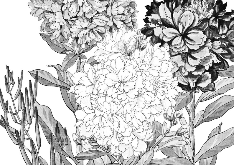 The Fill Me With Color Floral Coloring Book - Etsy