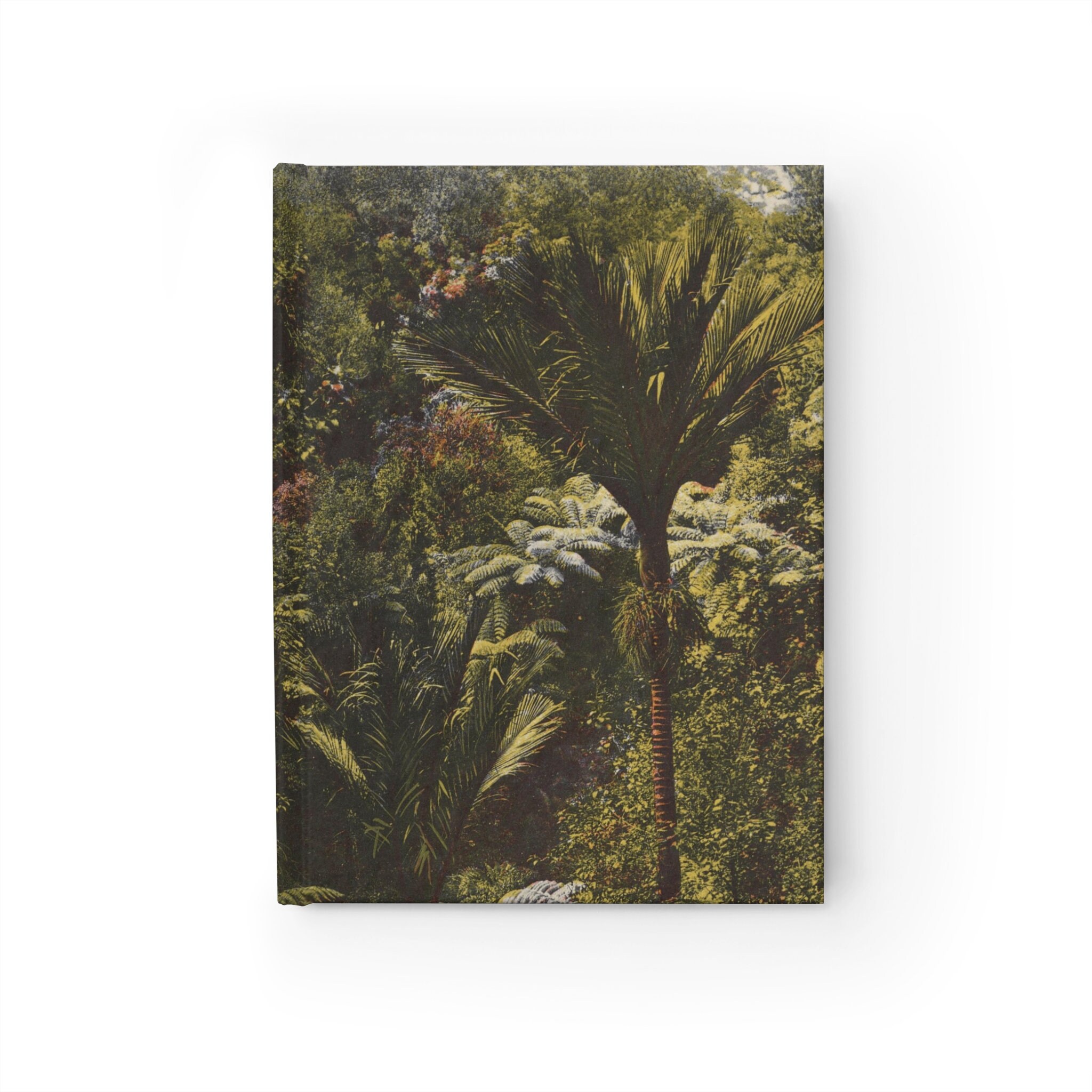 Nikau and Tree Ferns, New Zealand Journal Blank - Etsy