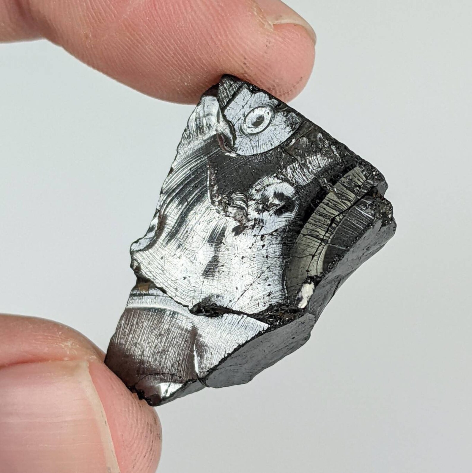 Shungite noble Crystals 4 Pcs Natural Rare - Etsy