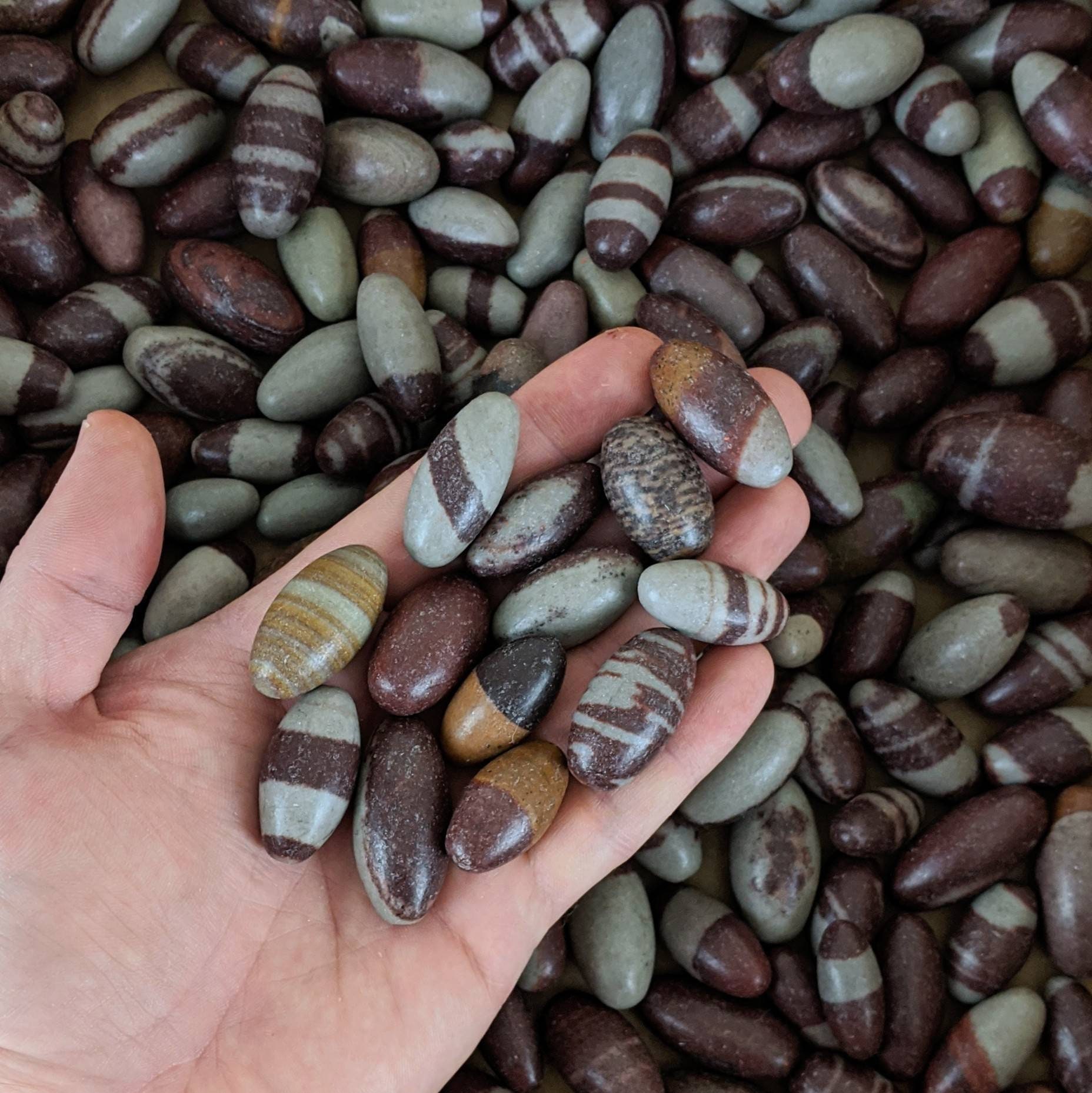 Narmada River Stones