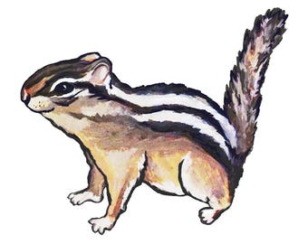 Chipmunk decal | Etsy