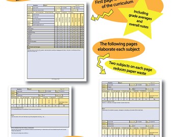 Report Template Full Page Version (PDF Fillable Form) - Etsy
