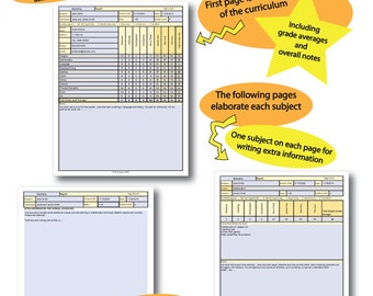 Report Template Half Page Version (PDF Fillable Form) - Etsy