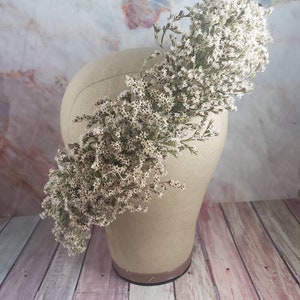 Dried White German Statice Flower Crown, Rustic Bridal Headpiece - Etsy
