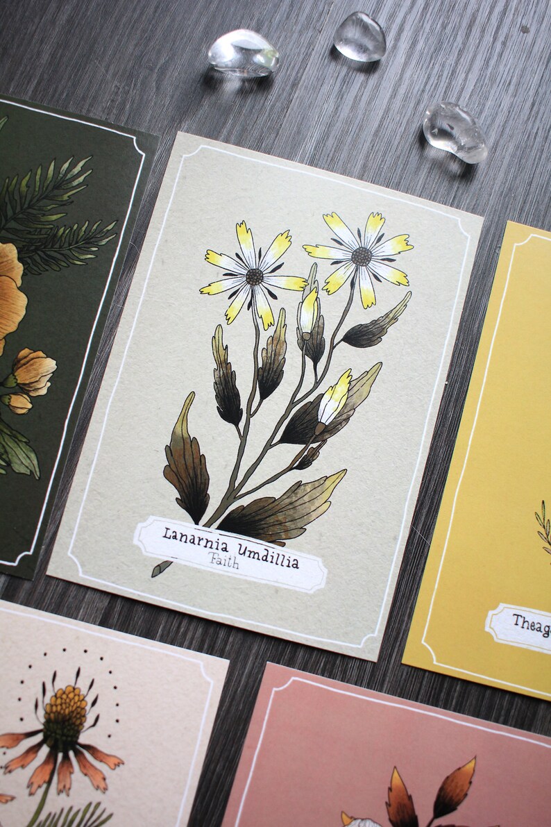 Postcard Set bunch of Flowers 6 Floral Designs - Etsy