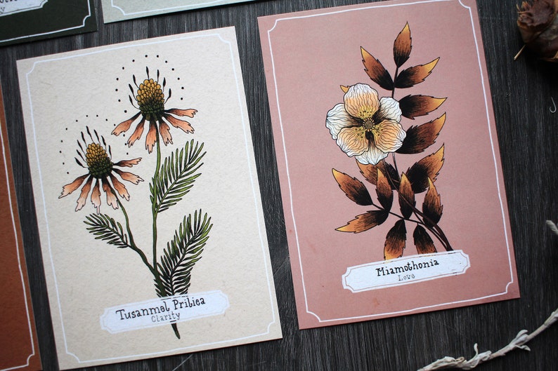 Postcard Set bunch of Flowers 6 Floral Designs - Etsy
