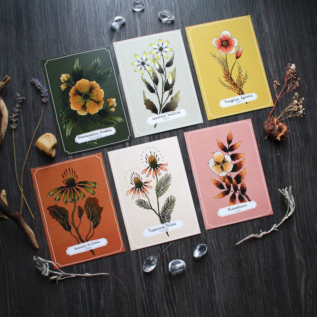 Postcard Set "bunch of Flowers" 6 Floral Designs Included - Etsy