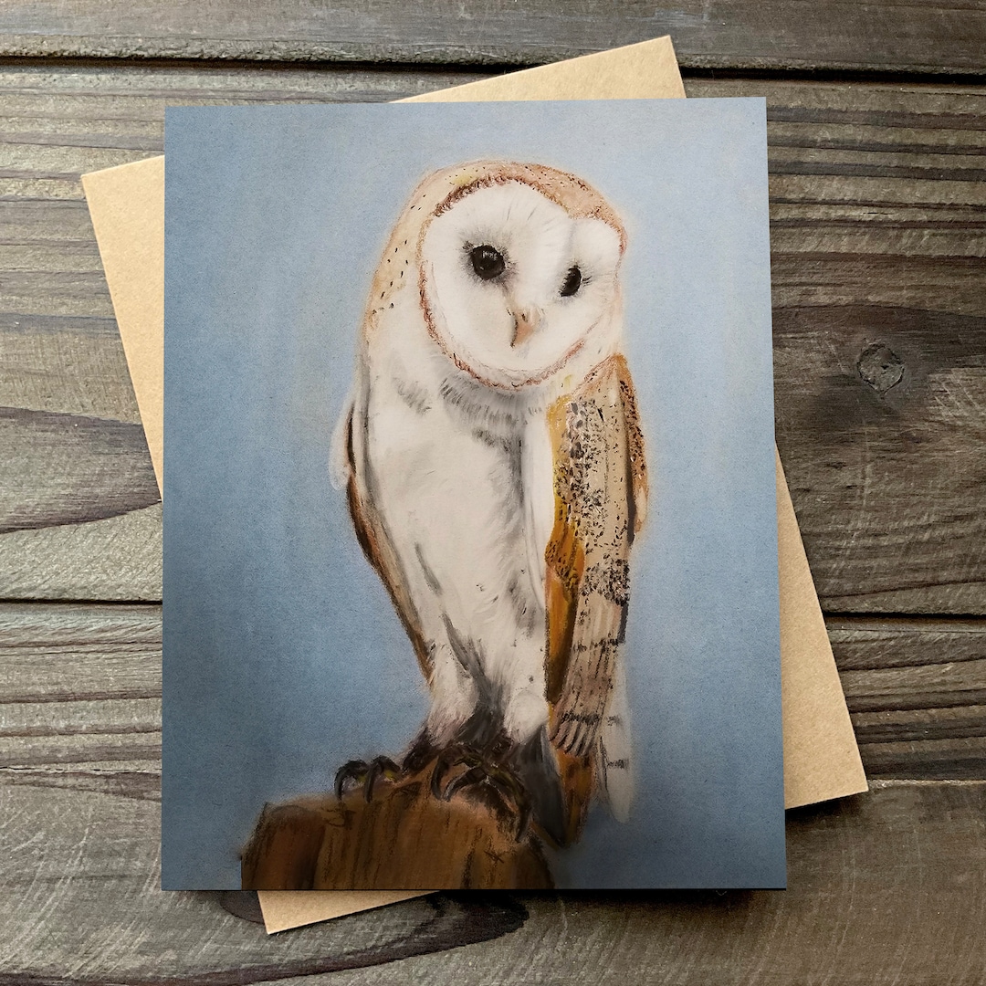 Barn Owl Greeting Card, Wildlife Art Card, Blank Note Cardwith Kraft ...