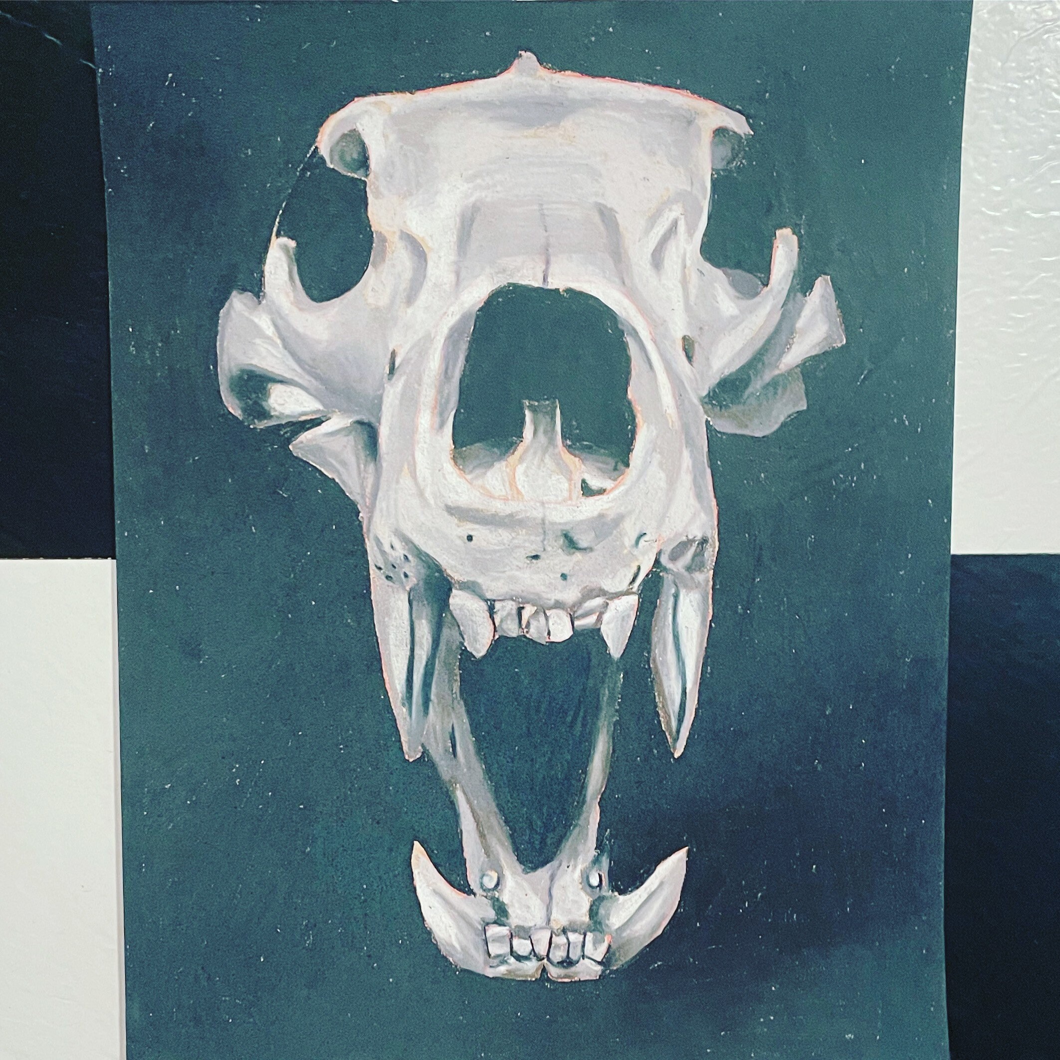 Bear Skull Drawing - Etsy
