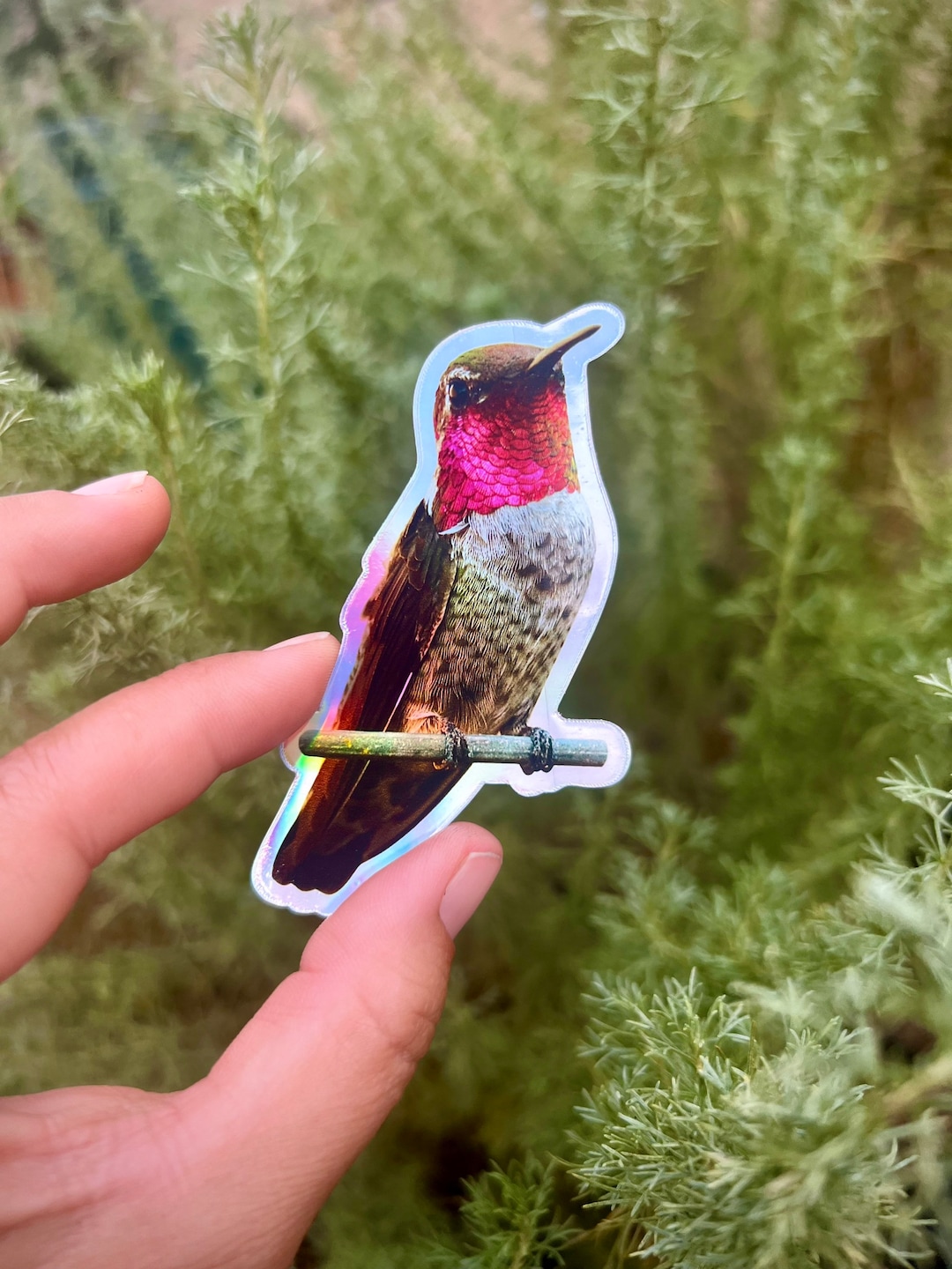 Holographic Hummingbird Sticker - Etsy