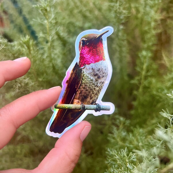 Hummingbird Sticker - Etsy