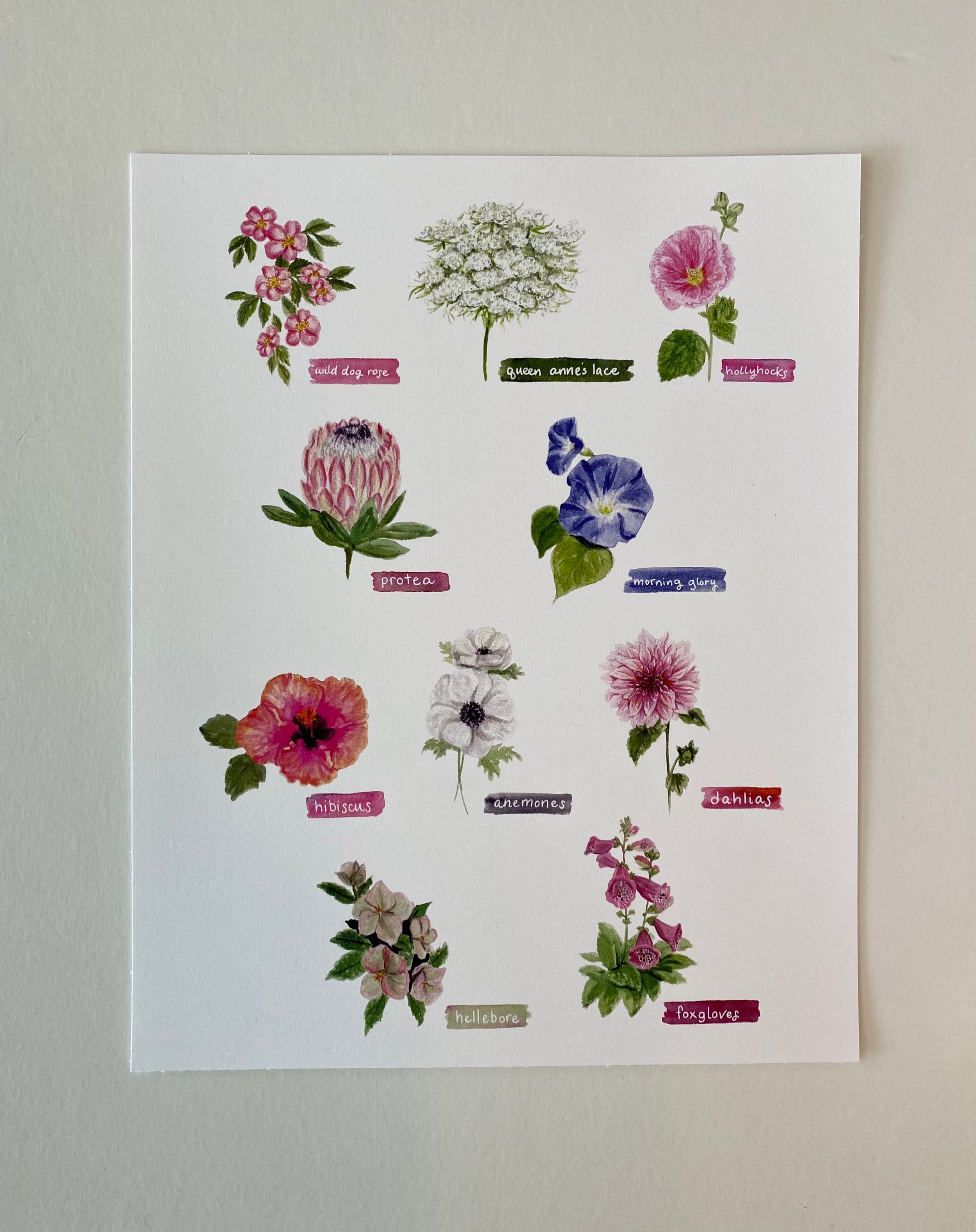 Amazing Flowers Fine Art Print of Ten Flowers 8x10 or 11x14 | Etsy