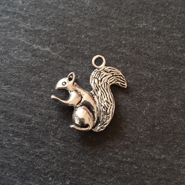 Squirrel Charms - Etsy