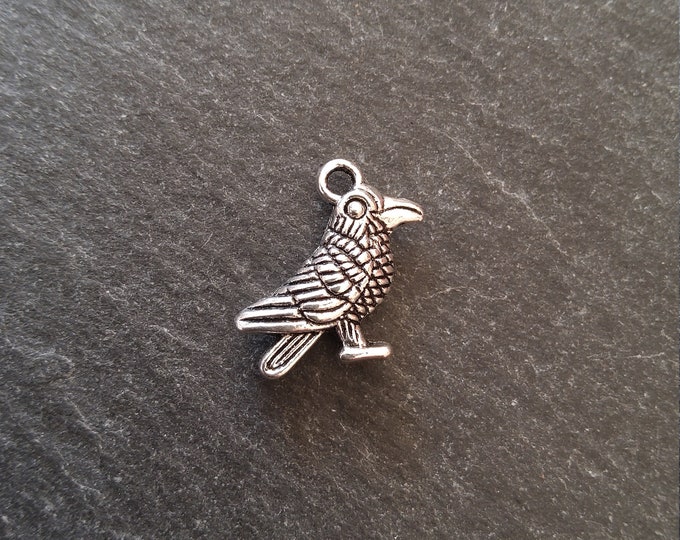 Silver Crow Necklace Antique Pewter Crow Charm on a Delicate Silver ...