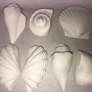 Ready to Paint Plaster Craft Chalkware Fake Food Seashells 7 Asst ...