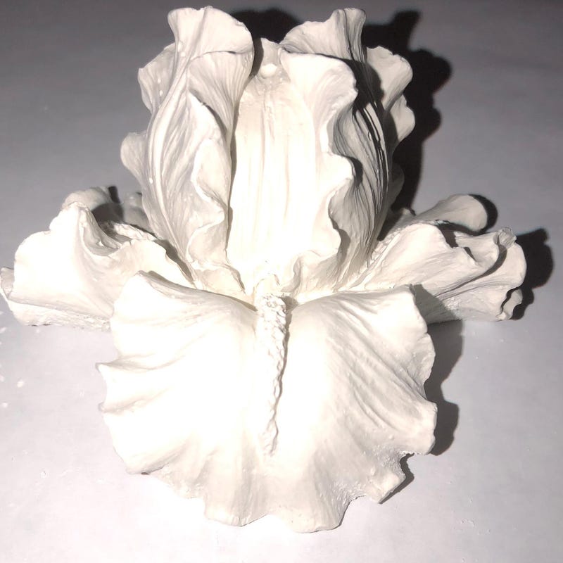 Flower Plaster Art - Etsy