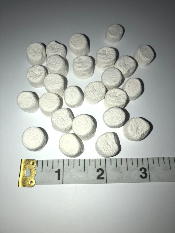 Ready to Paint DIY Plaster Craft Fake Food 24 Pieces Assorted - Etsy