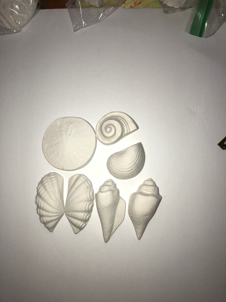 Plaster Seashells: Ready to Paint Craft Chalkware, 7 Pc - Etsy