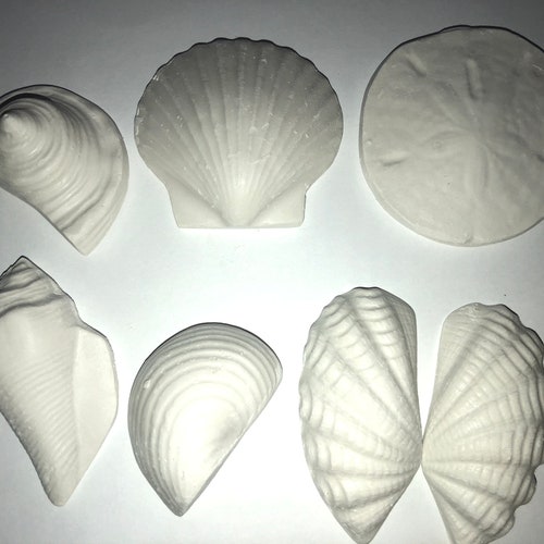 Ready to Paint Plaster Craft Chalkware Fake Food Seashells 7 - Etsy