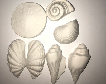 Ready to Paint Plaster Craft Chalkware Fake Food Seashells 7 | Etsy