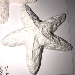 Realistic Looking Starfish Ocean Animals Ready to Paint Plaster 2 Piece ...