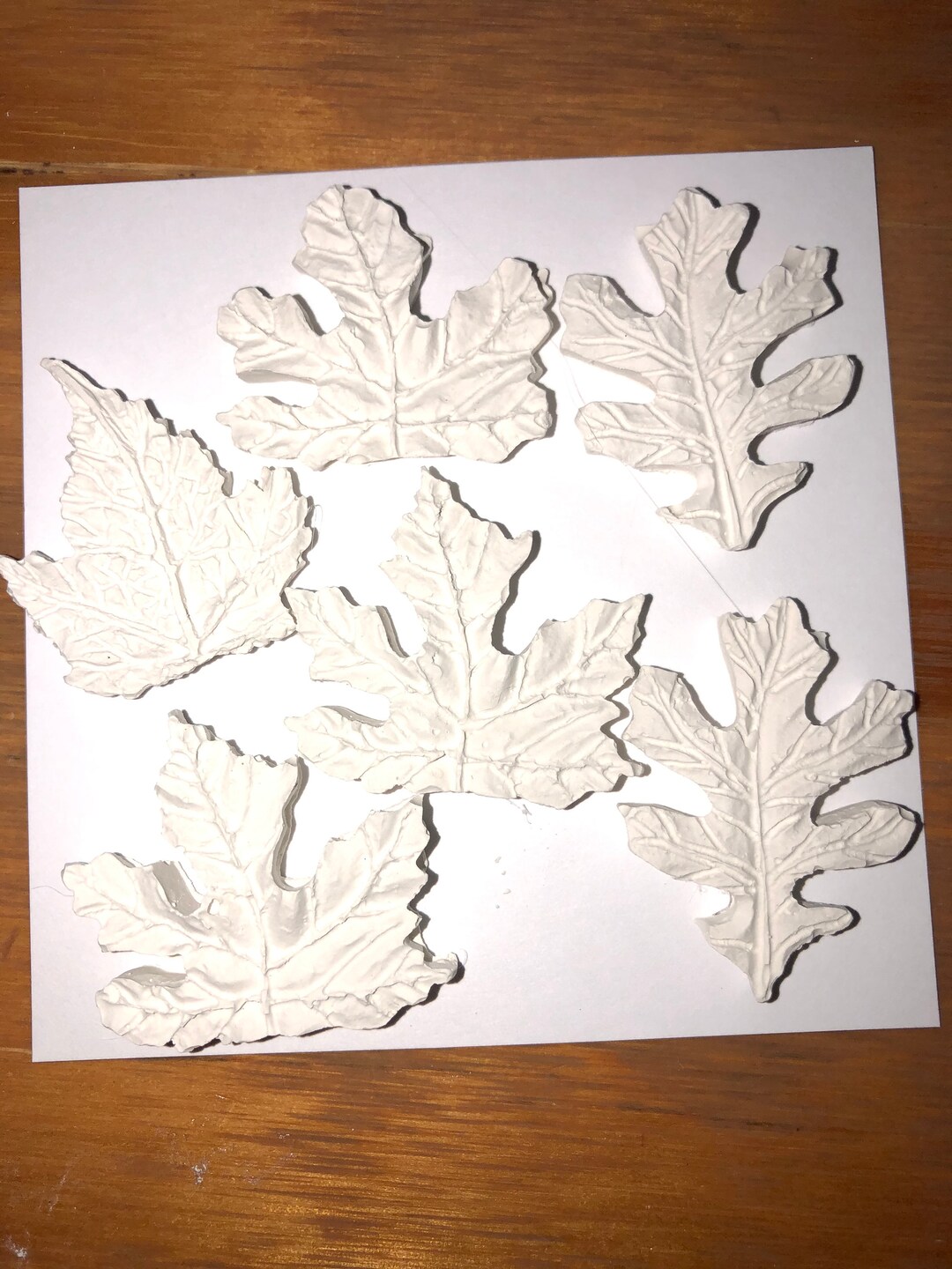 Ready to Paint Plaster Craft Chalkware 6 Pieces Assorted FALL LEAVES ...