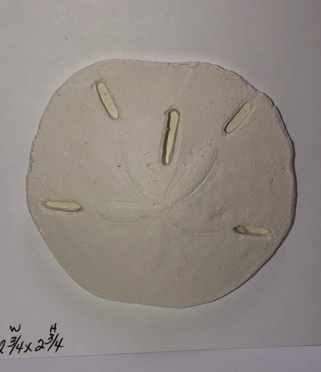 Ready to Paint Plaster Craft Chalkware 2 Pc SAND DOLLAR SEASHELL ...