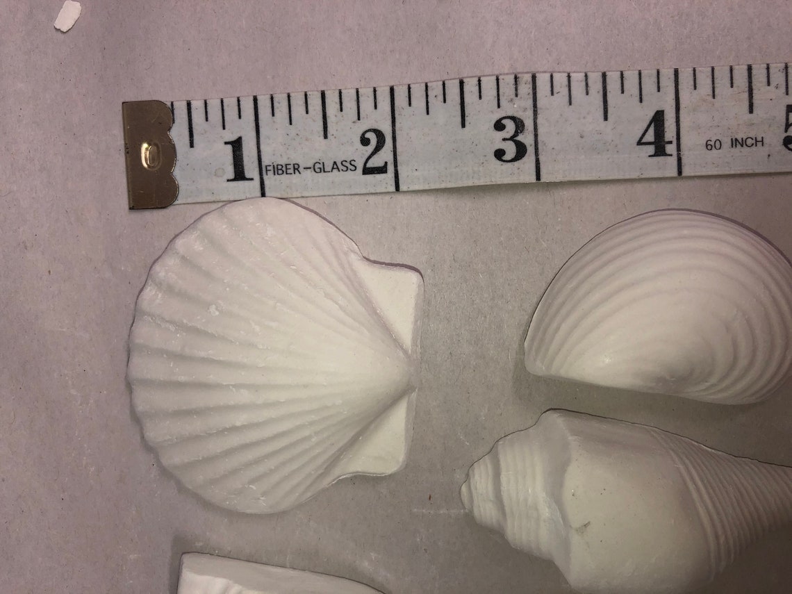 Ready to Paint Plaster Craft Chalkware Fake Food Seashells 7 | Etsy