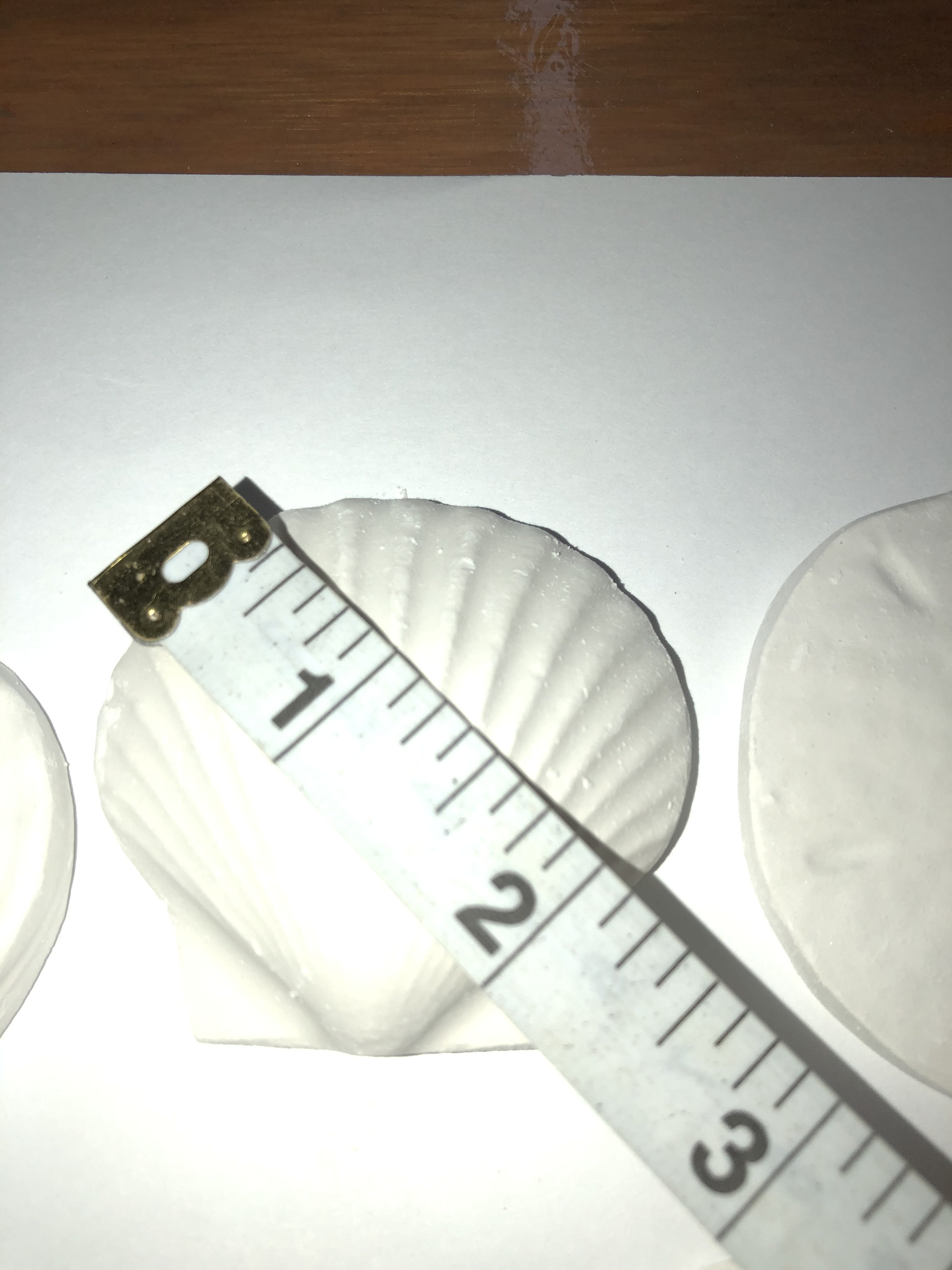 Ready to Paint Plaster Craft Chalkware Fake Food Seashells 7 - Etsy