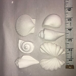 Ready to Paint Plaster Craft Chalkware Fake Food Seashells 7 Asst ...