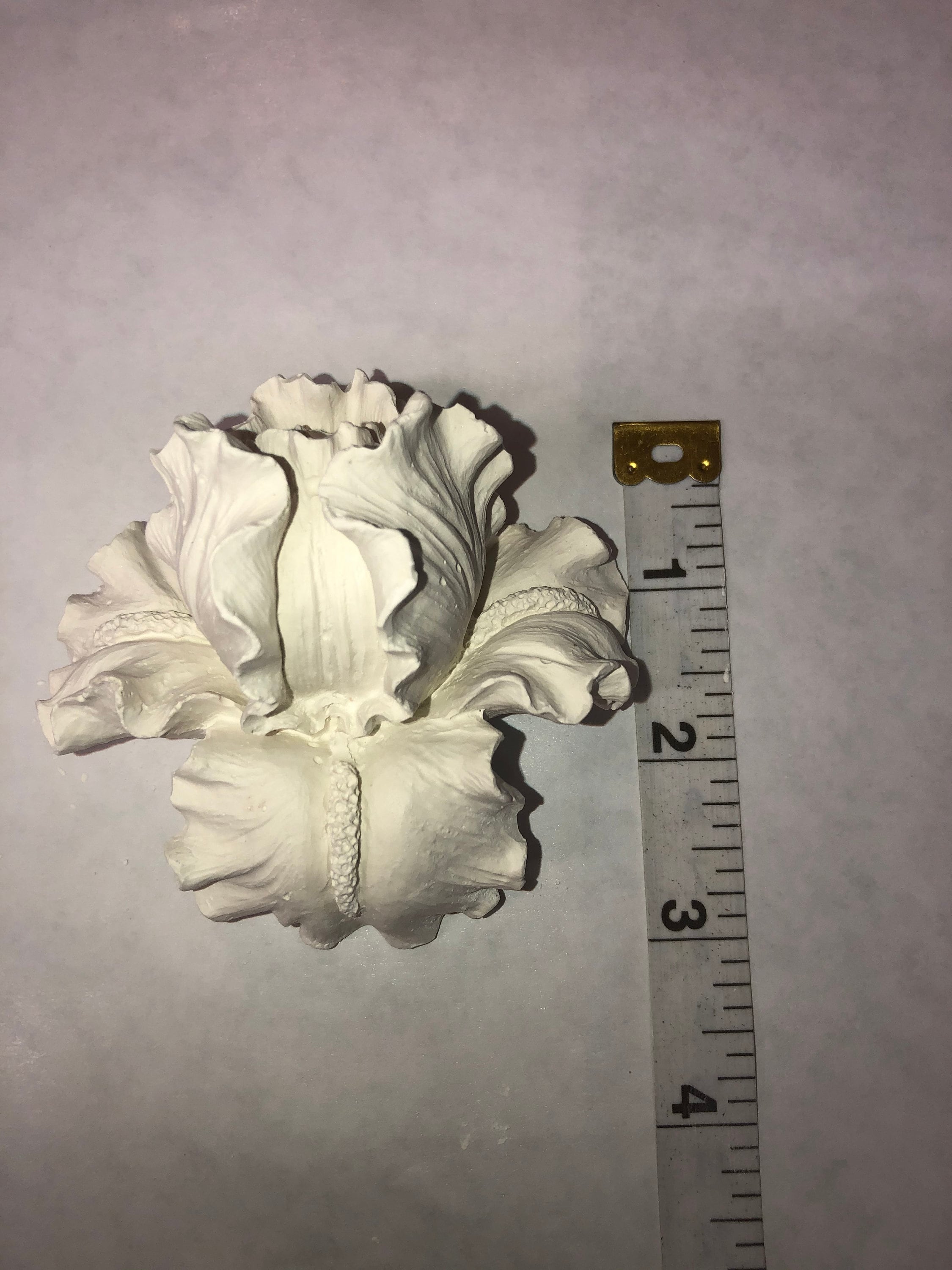 Ready to Paint Plaster Craft Chalkware 1 pieces Thick | Etsy