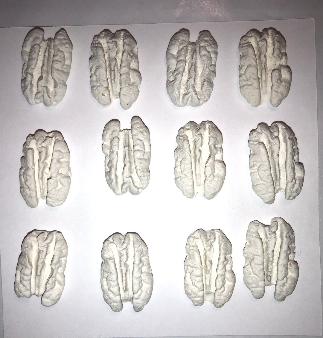 Ready to Paint Plaster Craft Chalkware Fake Food 12 Pieces NUTS Pecans ...