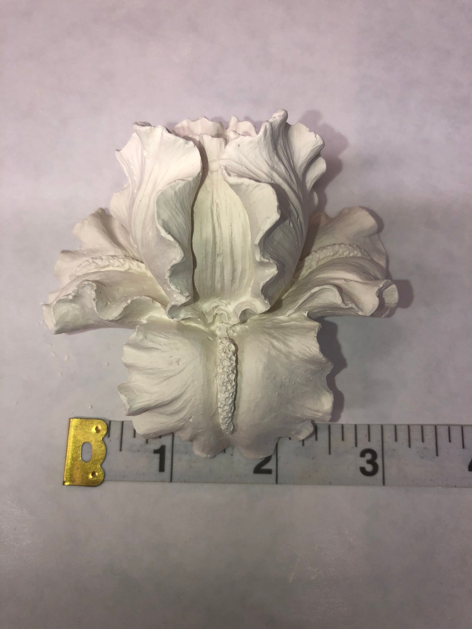 Ready to Paint Plaster Craft Chalkware 1 Pieces Thick Flower IRIS ...