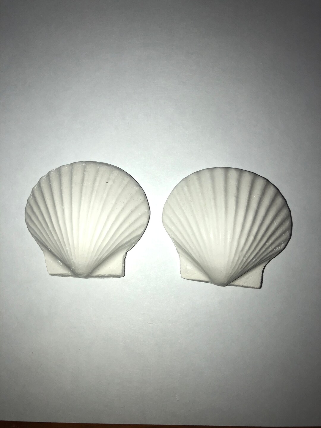 Ready to Paint Plaster Craft Chalk Ware 2 Pc Large Scallop Shells Beach ...