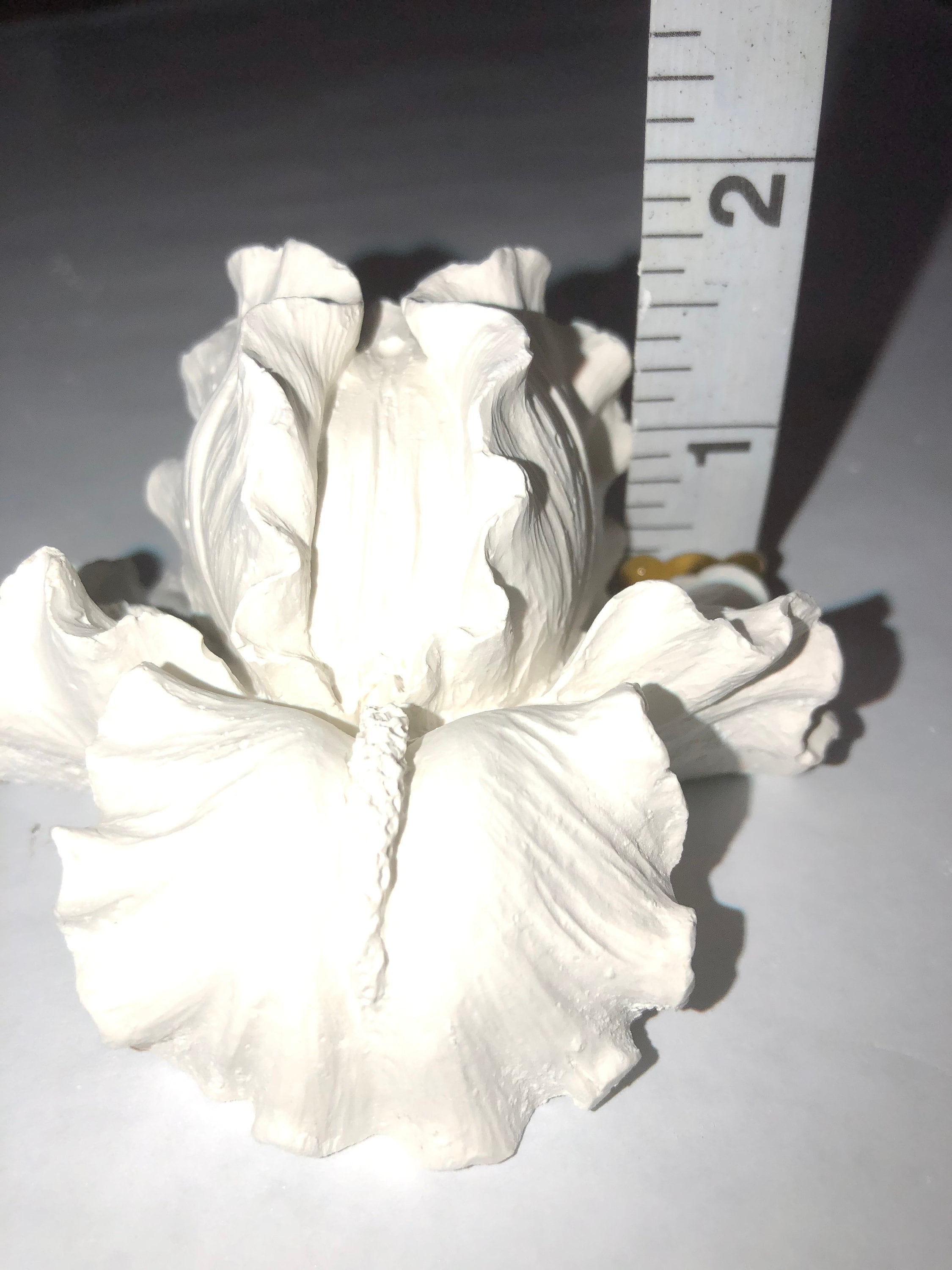 Ready to Paint Plaster Craft Chalkware 1 Pieces Thick Flower - Etsy