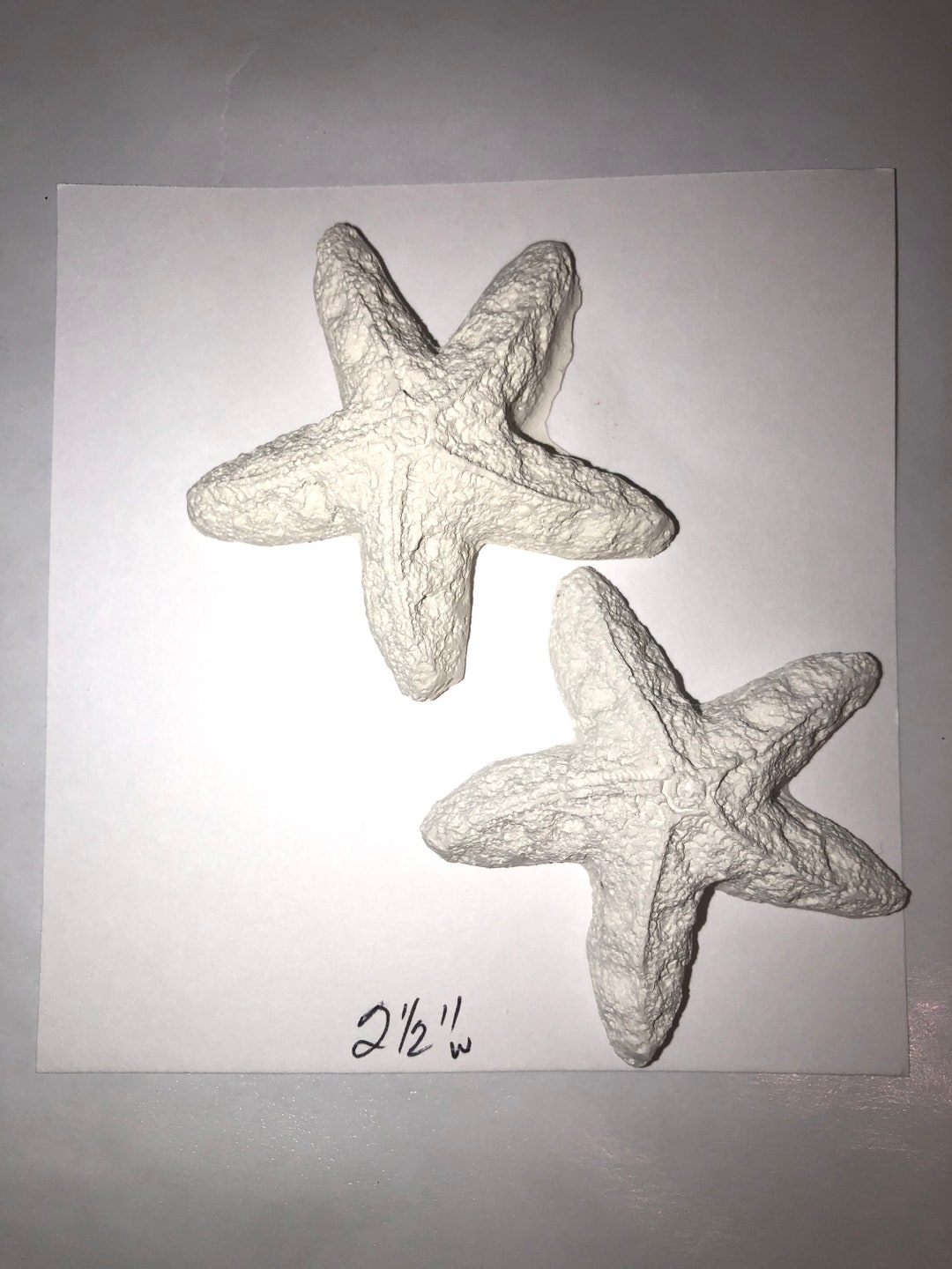 Realistic Looking Starfish Ocean Animals Ready to Paint Plaster 2 Piece ...