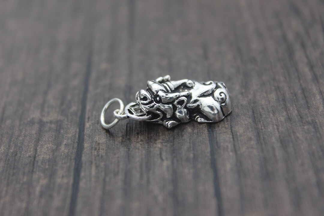 1PC Sterling Silver Pixiu Charm,silver Lucky Animal Pixiu Charm,good ...