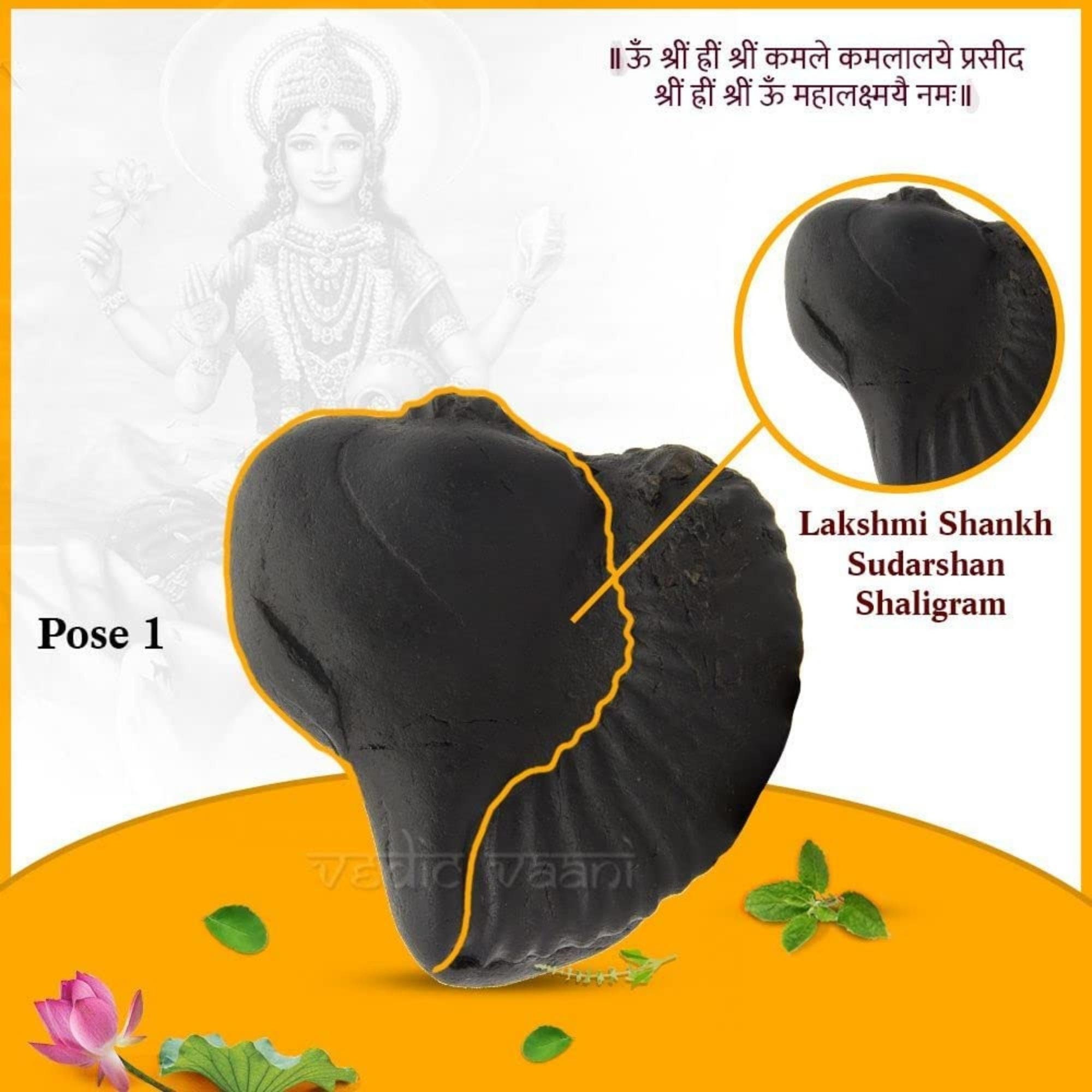 Salagrama Stone Lakshmi Laxmi Shankh Sudarshan Shaligram pack of 4 - Etsy