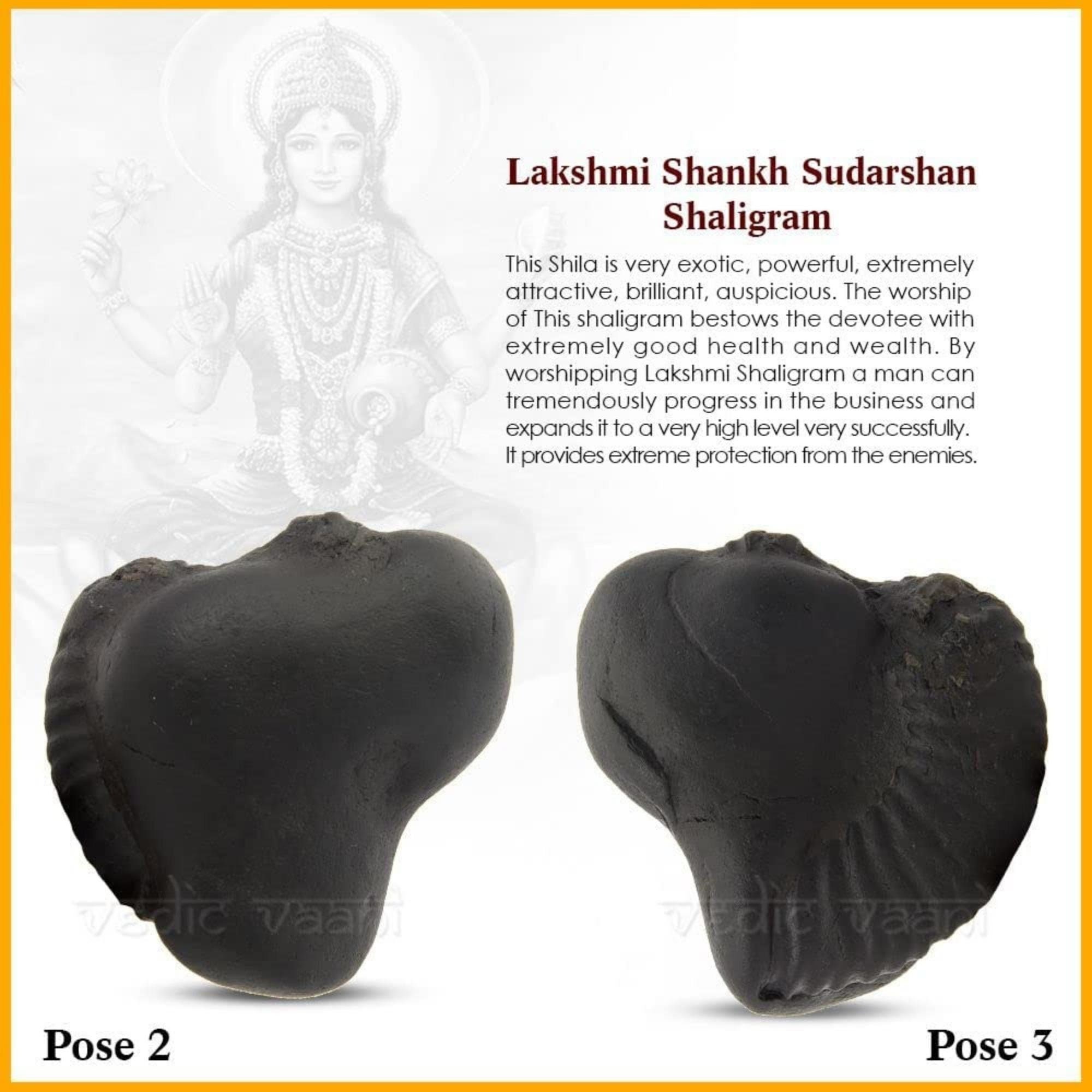 Salagrama Stone Lakshmi Laxmi Shankh Sudarshan Shaligram pack of 4 - Etsy