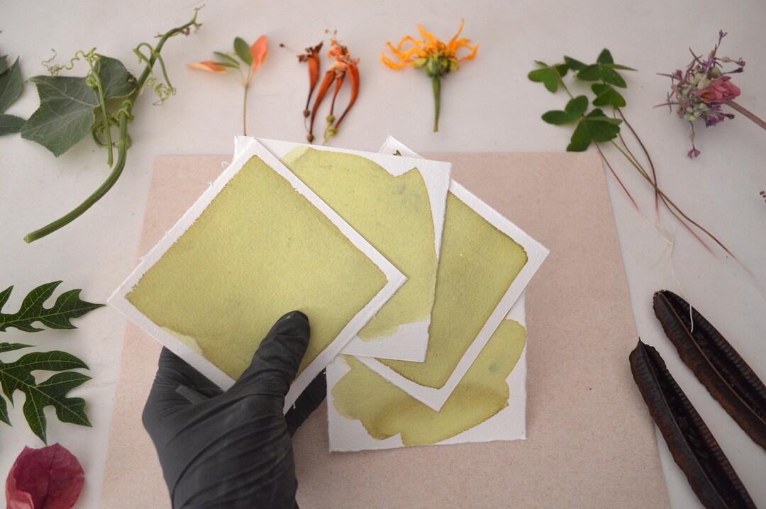 Cyanotype Paper. Photosensitive Paper. Paper to Generate Photographs in ...